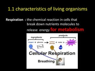 Cambridge igcse biology ( 2016 2018) classification of living organisms ...