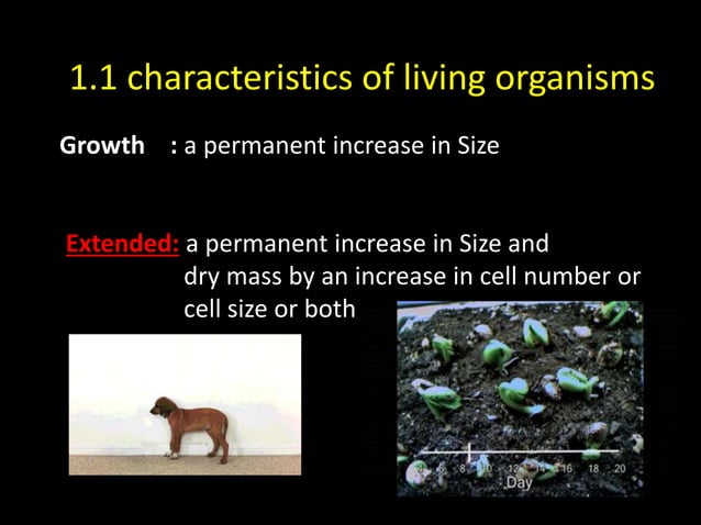 Cambridge igcse biology ( 2016 2018) classification of living organisms ...