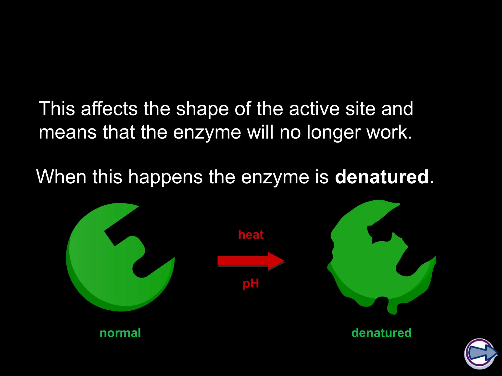 Cambridge IGCSE Biology ( 2016-2018) enzymes.pptx