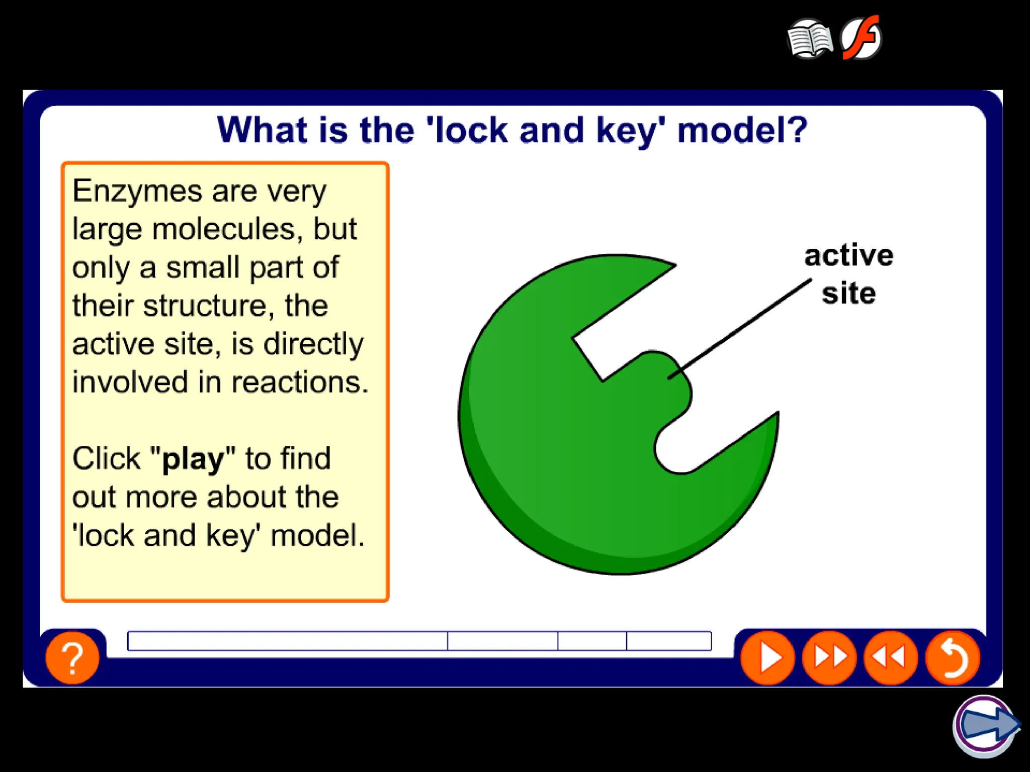Cambridge IGCSE Biology ( 2016-2018) enzymes.pptx