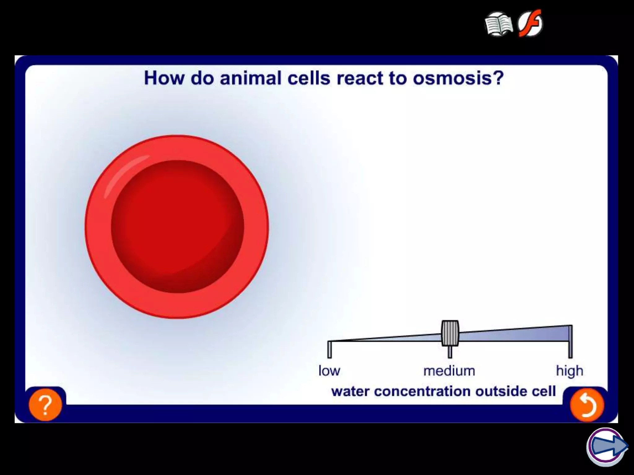 Cambridge Igcse Biology 2016 2018 Movement In And Out Of Cells Cell