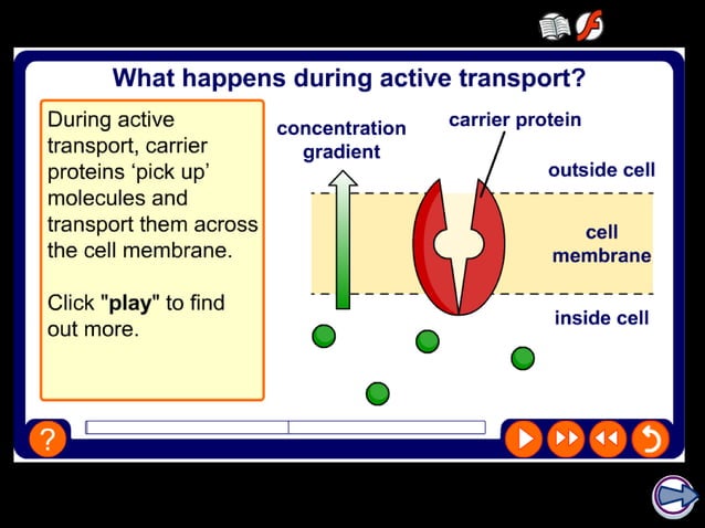 Cambridge igcse biology ( 2016 2018) movement in and out of cells cell ...