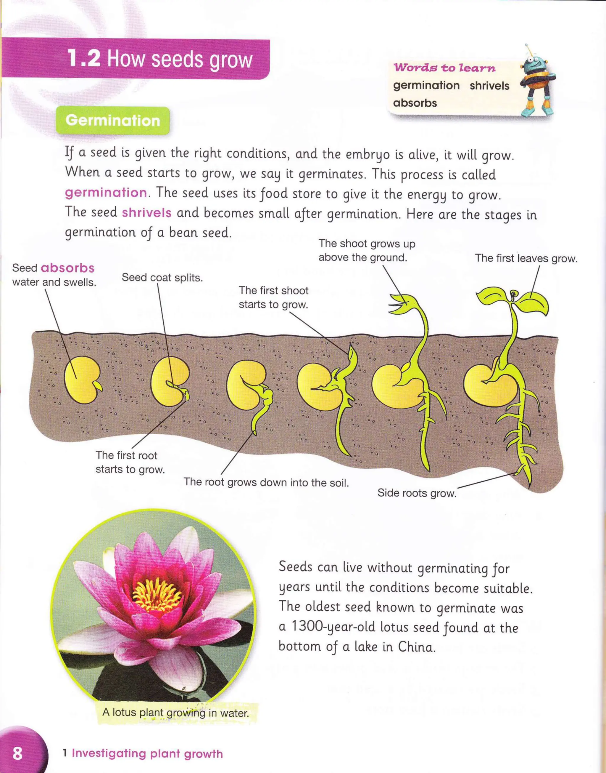 Cambridge Primary Science 5 Learners Book.pdf