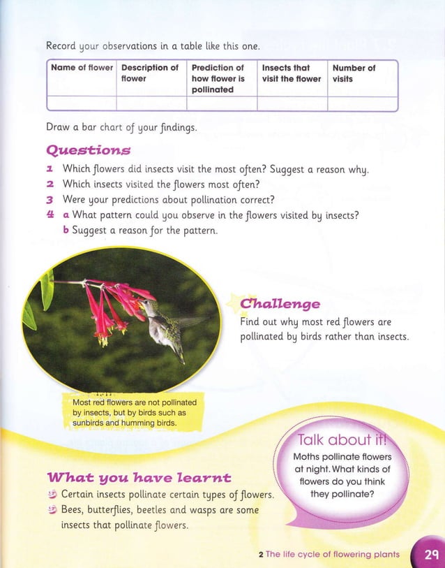Cambridge Primary Science 5 Learners Book.pdf | Gardening | Home & Garden