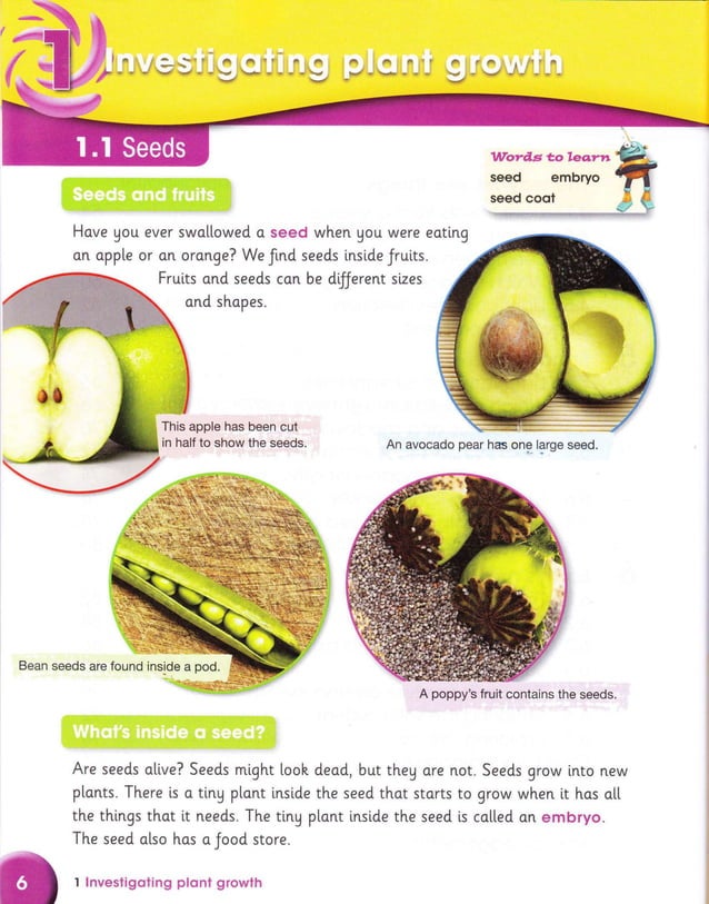 Cambridge Primary Science 5 Learners Book.pdf | Gardening | Home & Garden