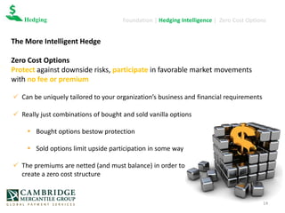 Cambridge Risk Management Strategy | PPTX