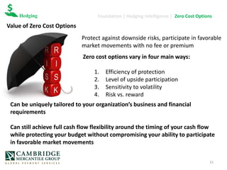 Cambridge Risk Management Strategy | PPTX