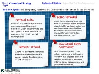 Cambridge Risk Management Strategy | PPTX