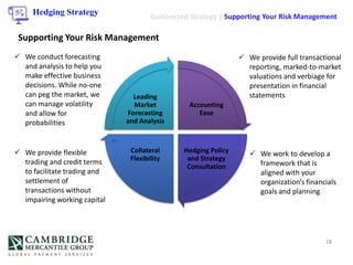 Cambridge Risk Management Strategy | PPTX
