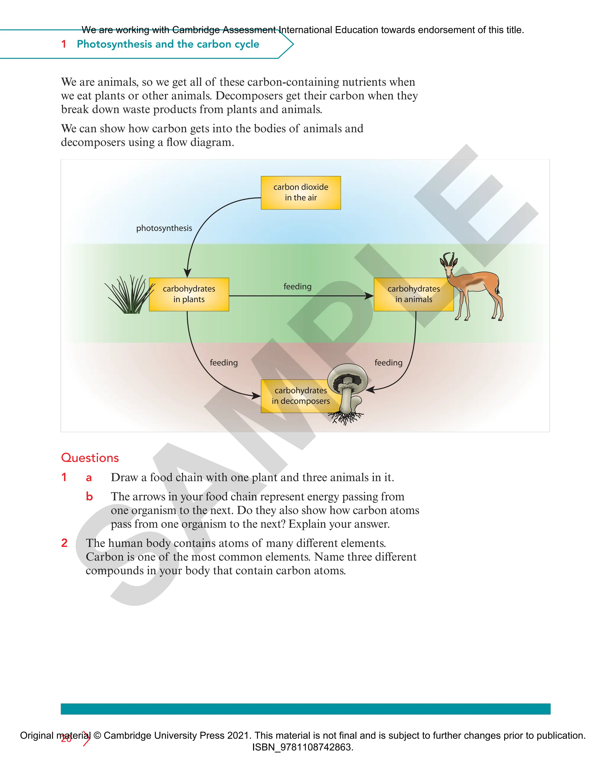 Cambridge _Science_Learner's Book 9_.pdf