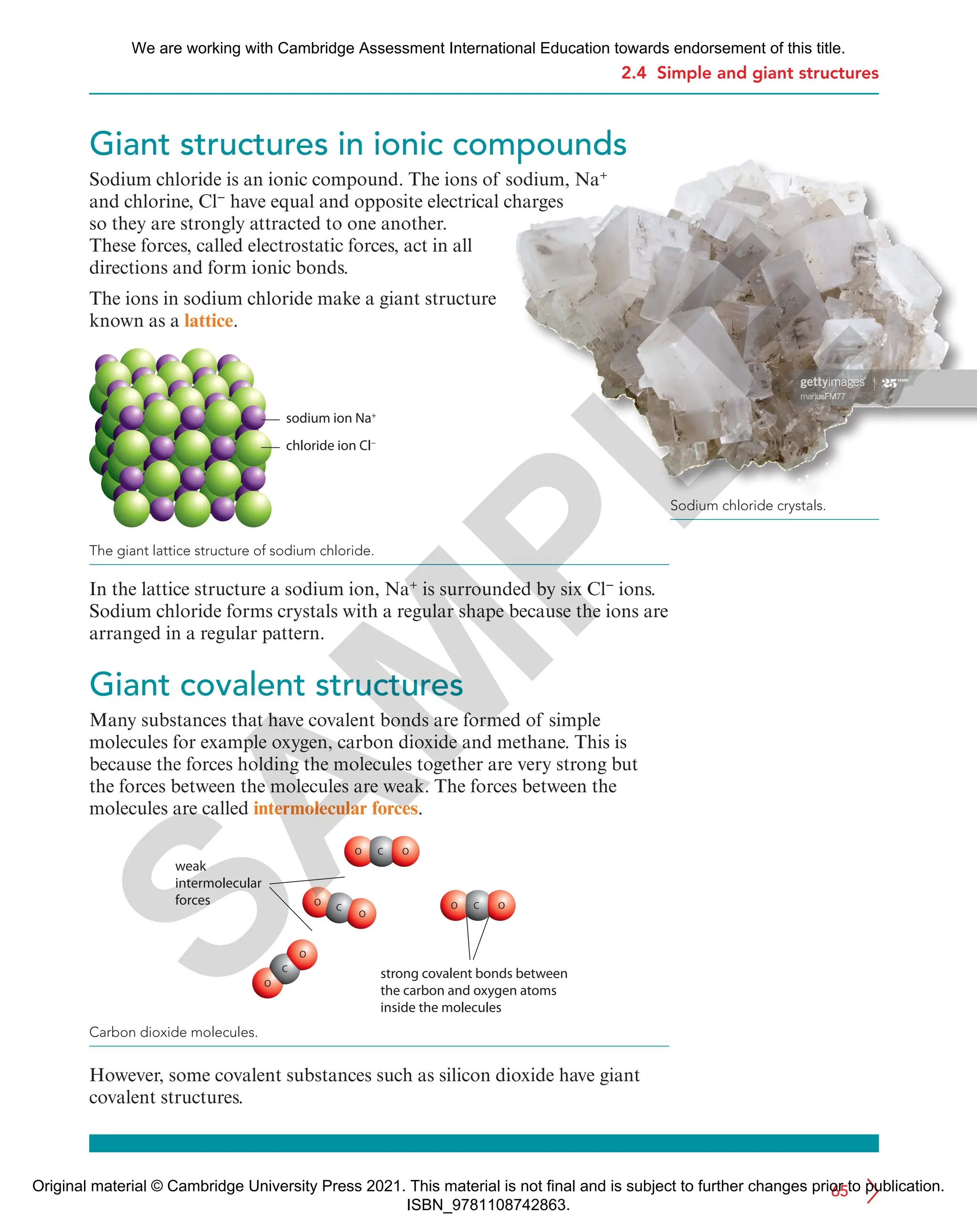 Cambridge _Science_Learner's Book 9_.pdf
