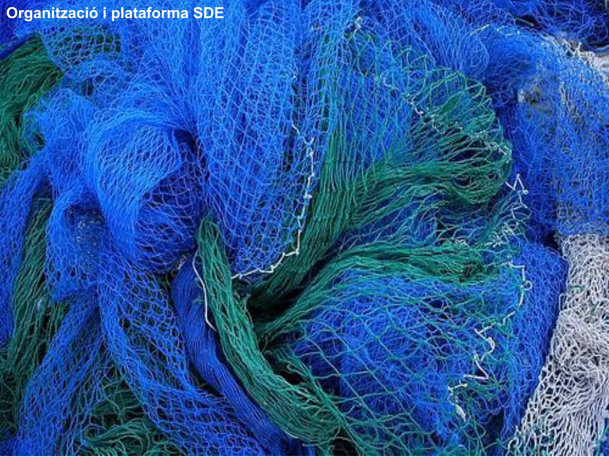 Quin model necessitem? Ajuntament de Cambrils | PDF