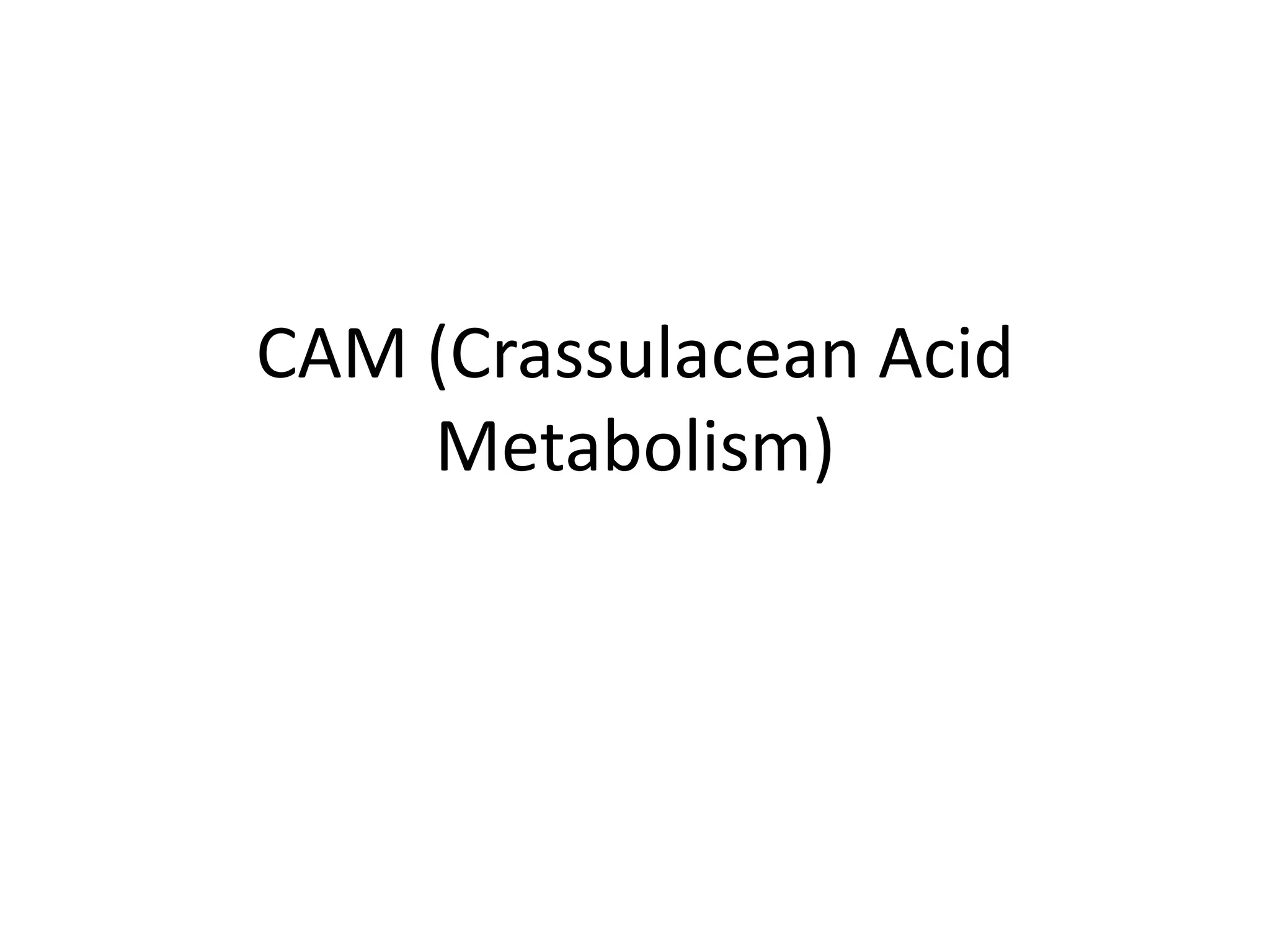 CAM (Crassulacean Acid Metabolism)pathway.pptx