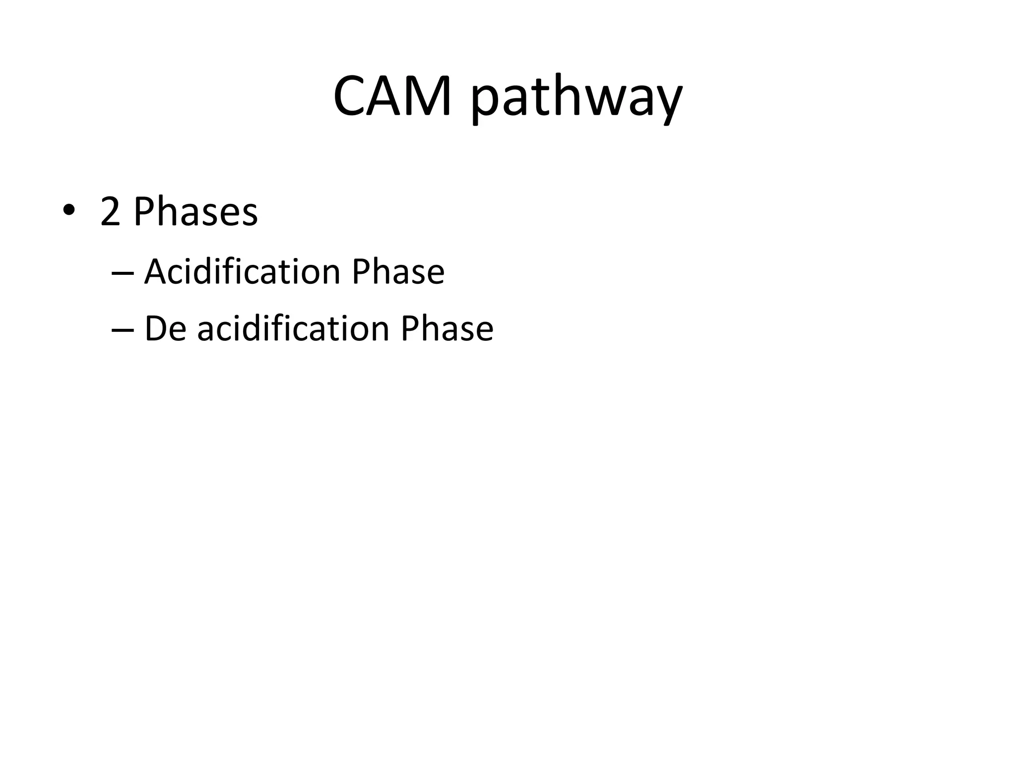 CAM (Crassulacean Acid Metabolism)pathway.pptx