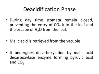 CAM (Crassulacean Acid Metabolism)pathway.pptx | Biological Sciences ...