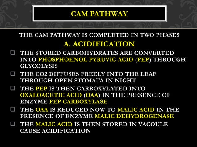 CAM CYCLE.pptx