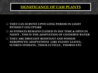 CAM CYCLE.pptx