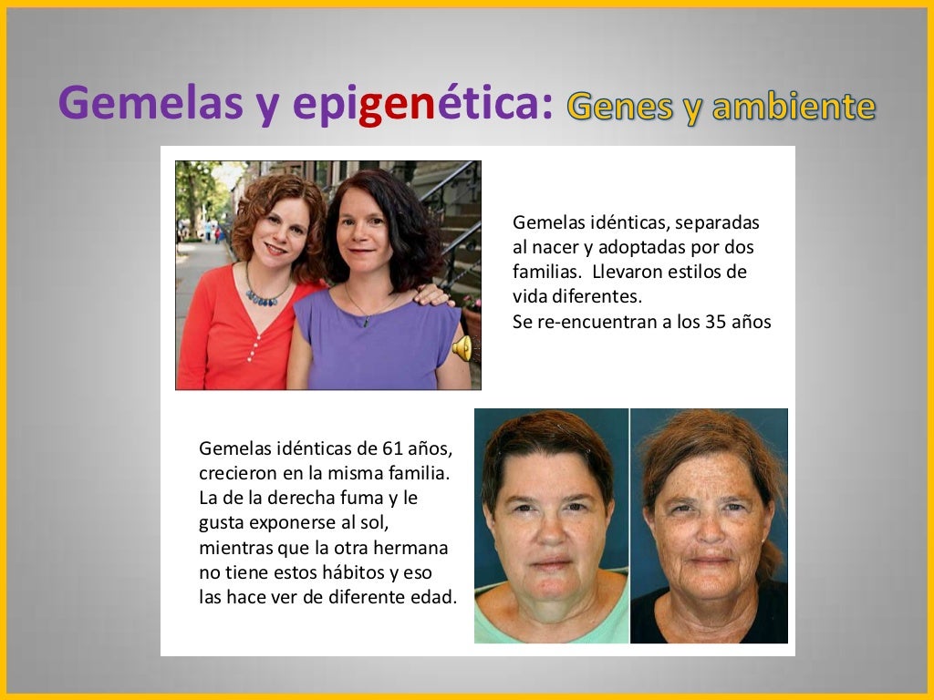 Gemelos Y Mellizos Gemelos Y Mellizos