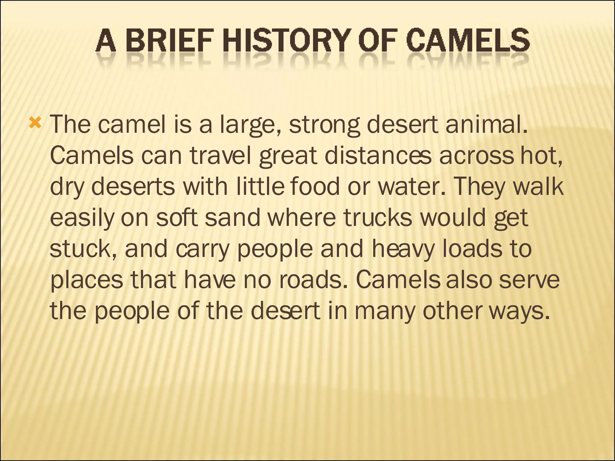 Camel | PPT