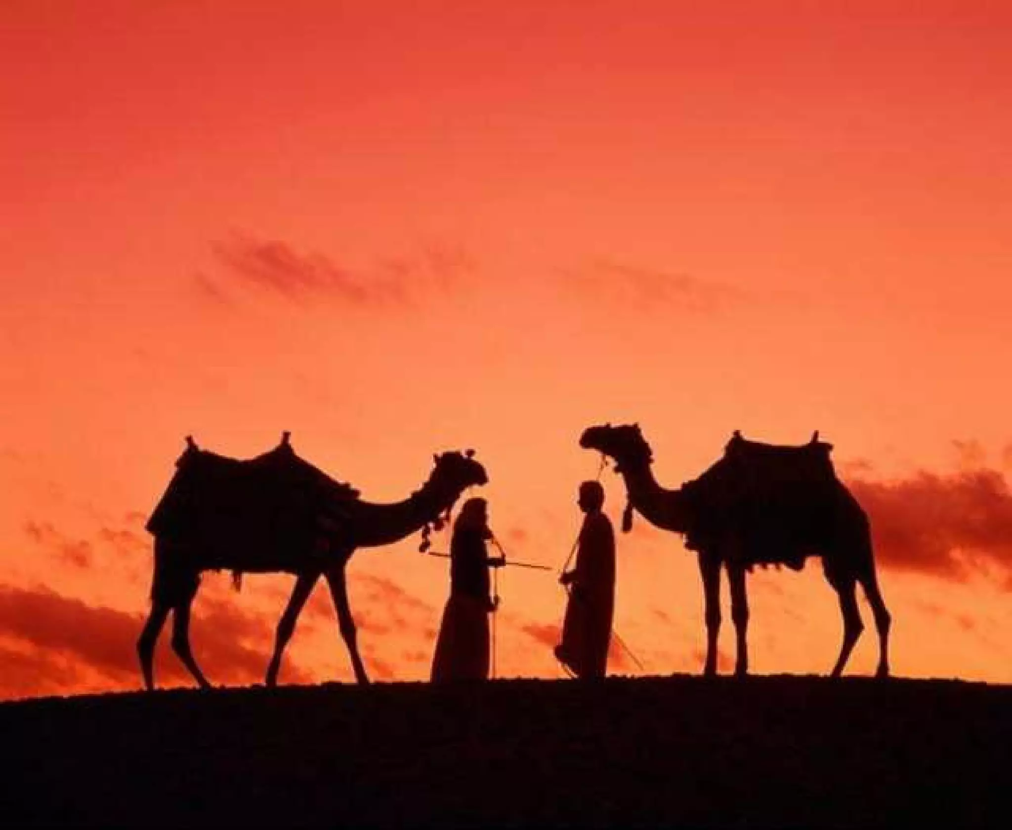 The Egyptian Camel | PPT