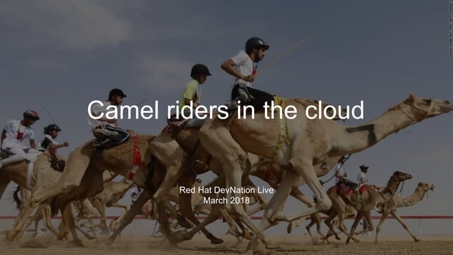 Camel Riders in the Cloud | PPT
