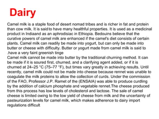 Camel | PPT