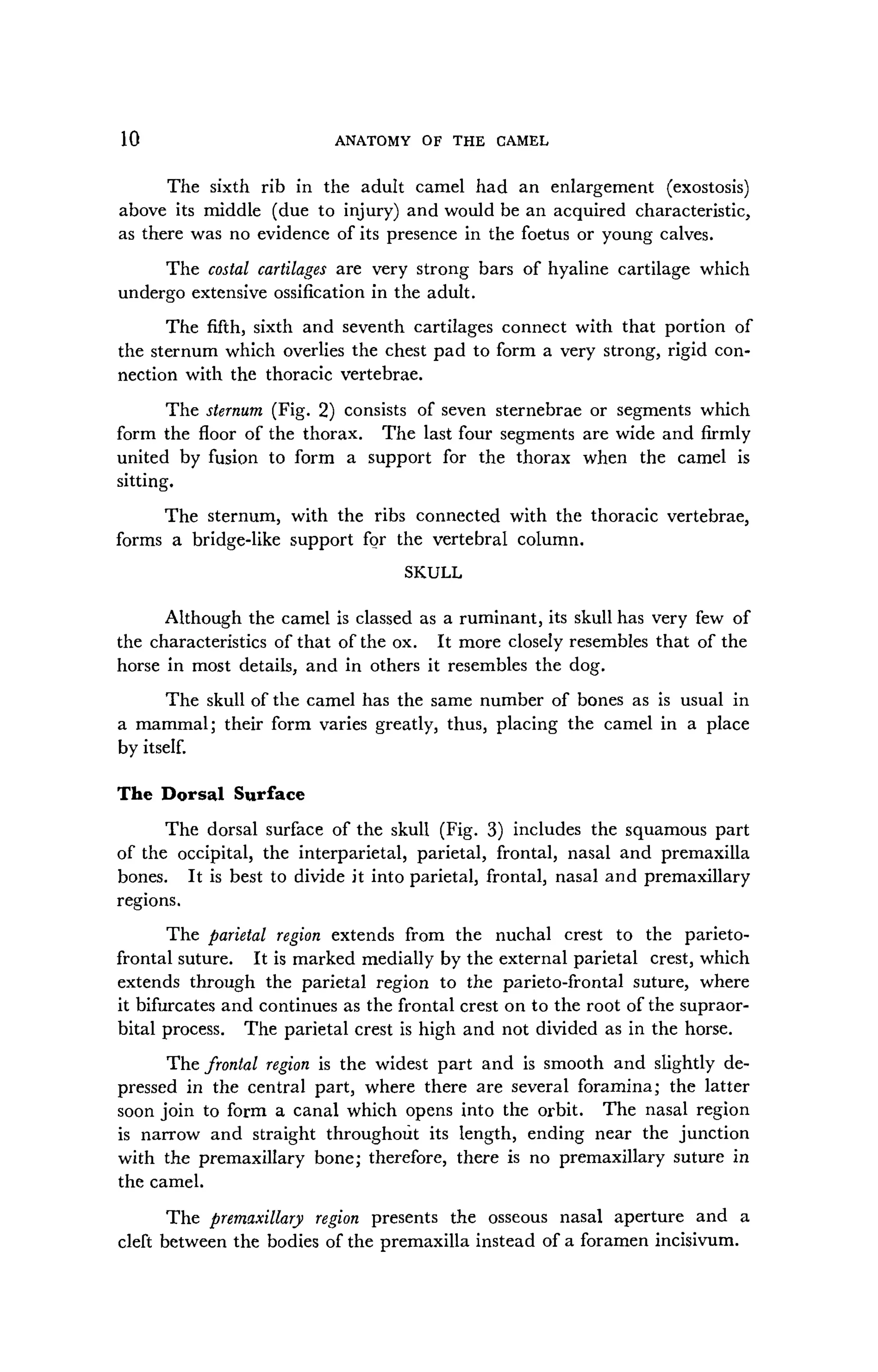 Sutdent's Guide to the Anatomy of Camel | PDF