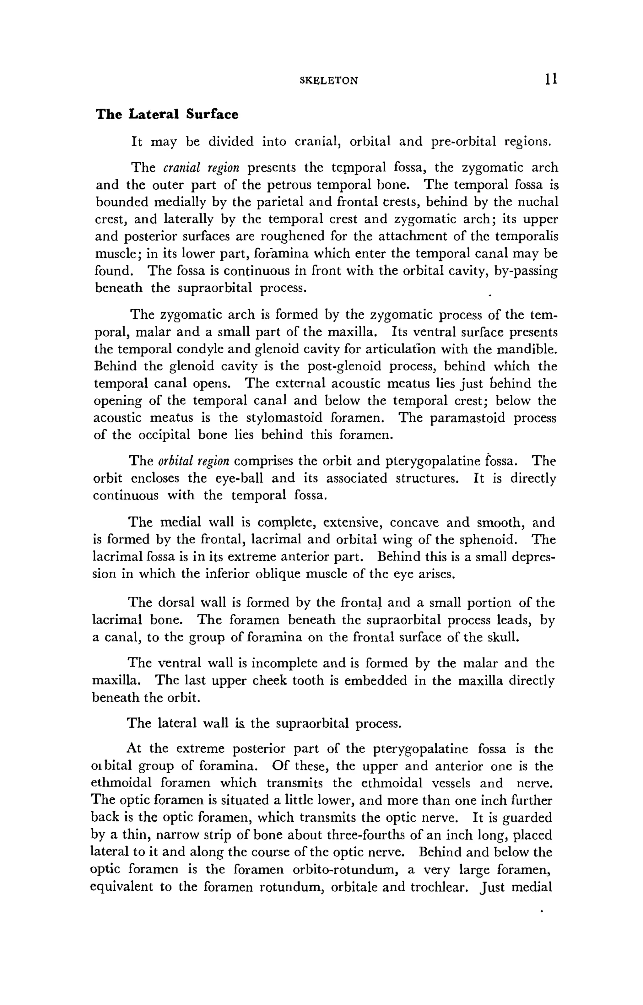 Sutdent's Guide to the Anatomy of Camel | PDF