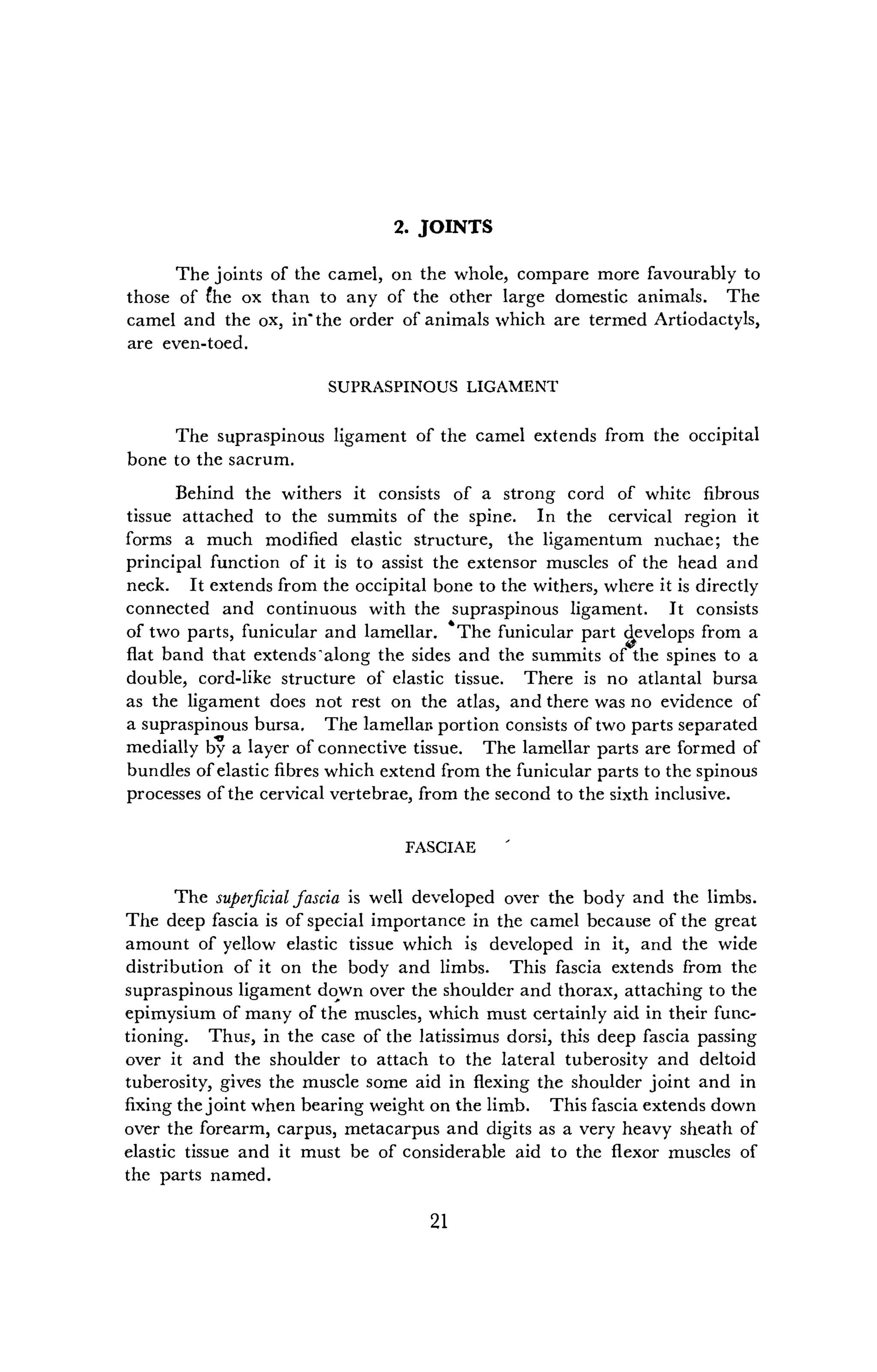 Sutdent's Guide to the Anatomy of Camel | PDF