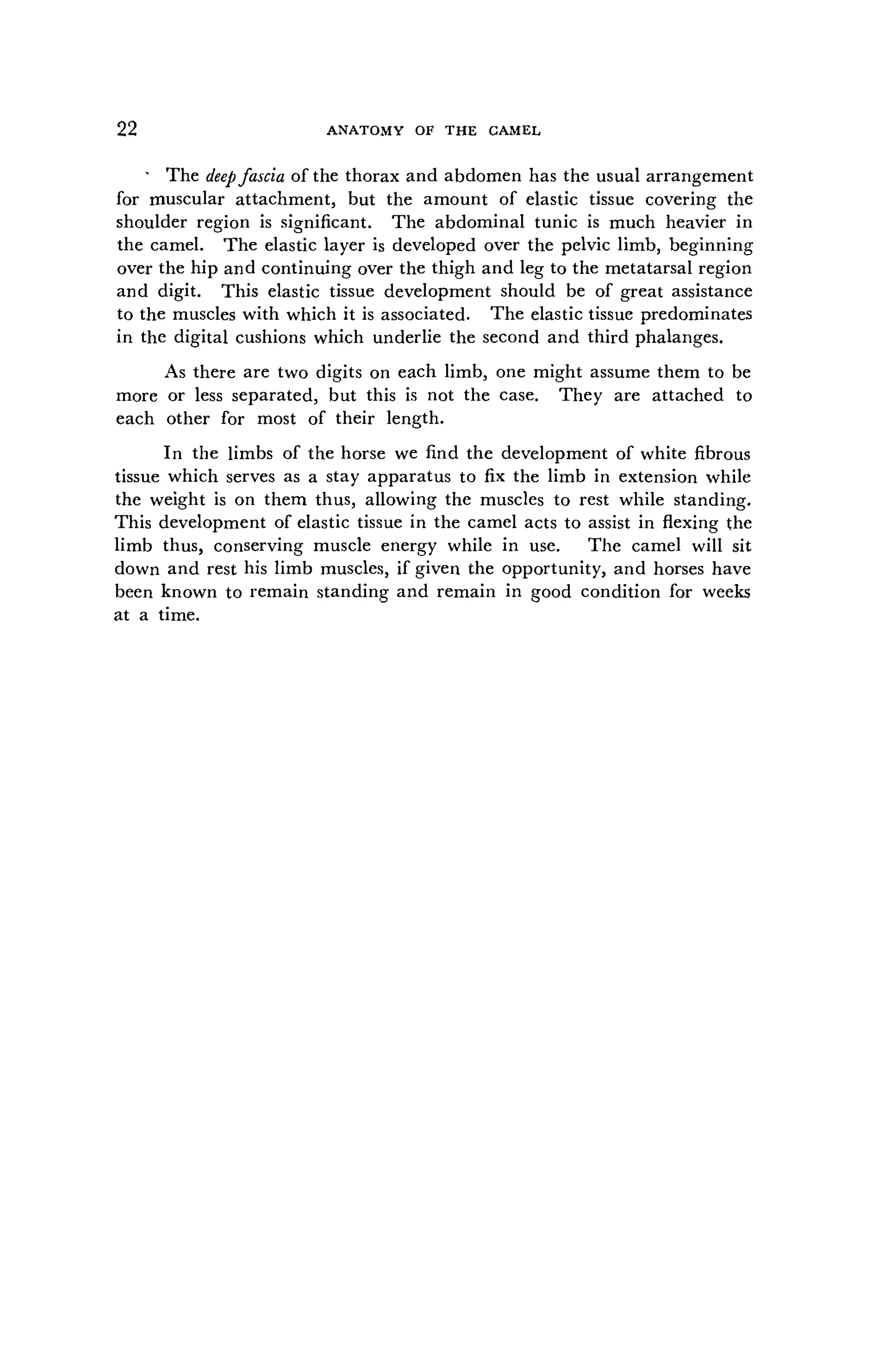 Sutdent's Guide to the Anatomy of Camel | PDF