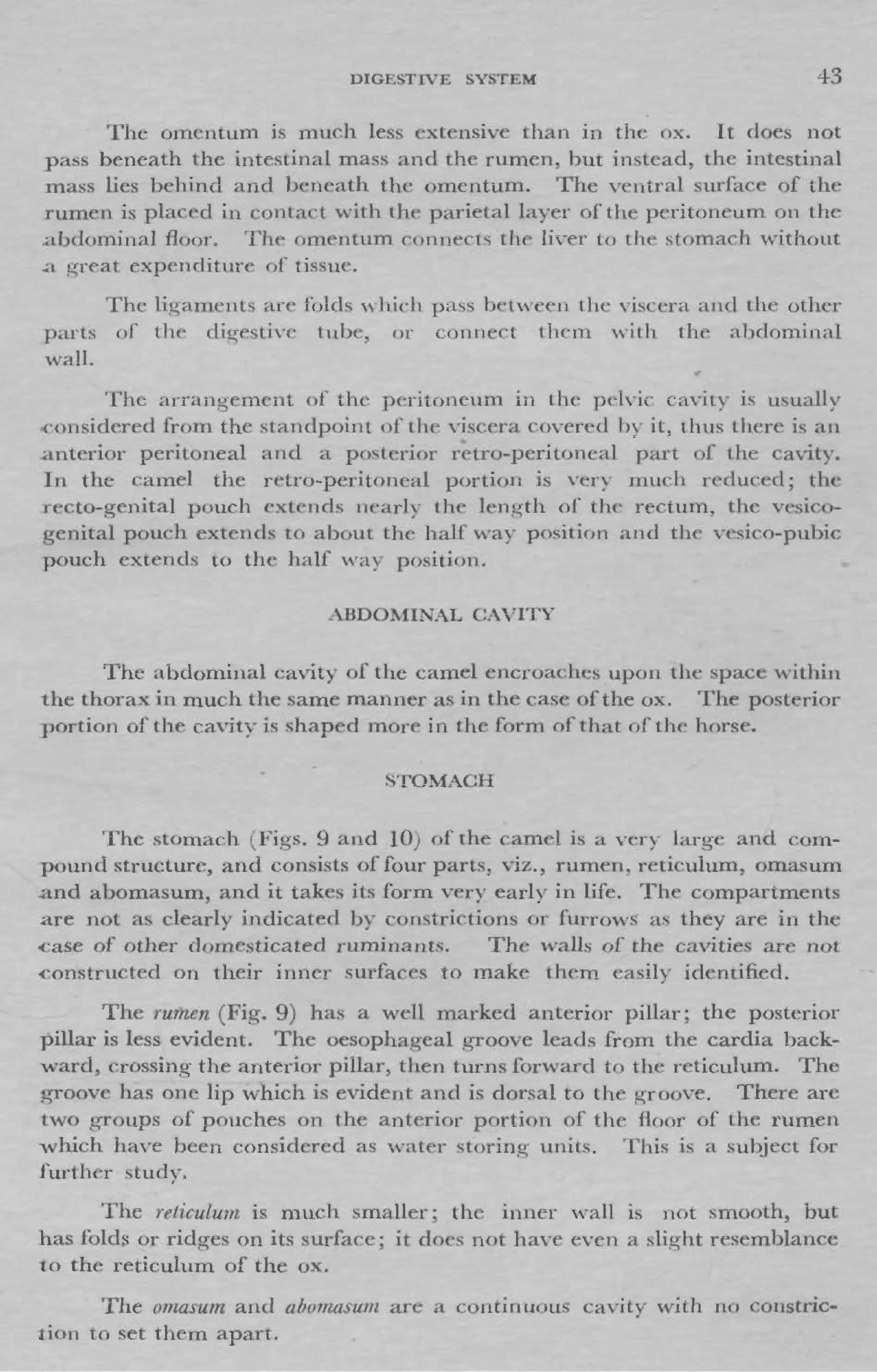 Sutdent's Guide to the Anatomy of Camel | PDF