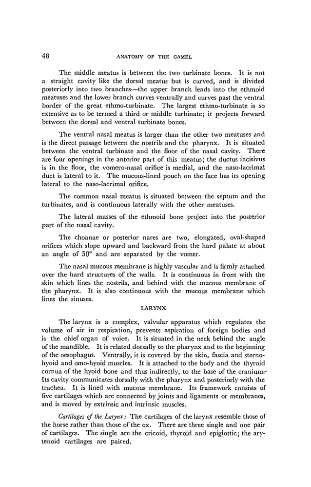 Sutdent's Guide to the Anatomy of Camel | PDF | Death, Injury, or ...