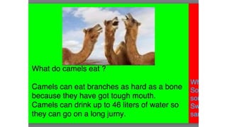 Camel book OS | PPTX | Books and Literature