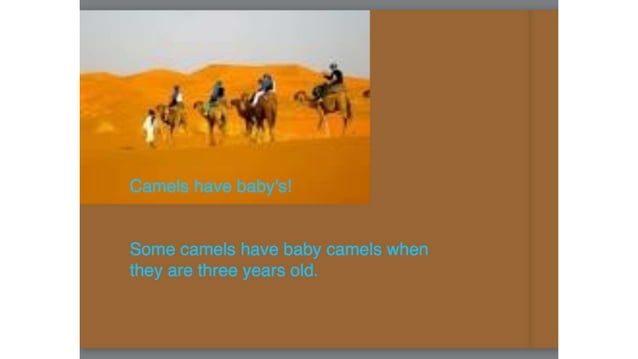 Camel book OS | PPTX | Books and Literature