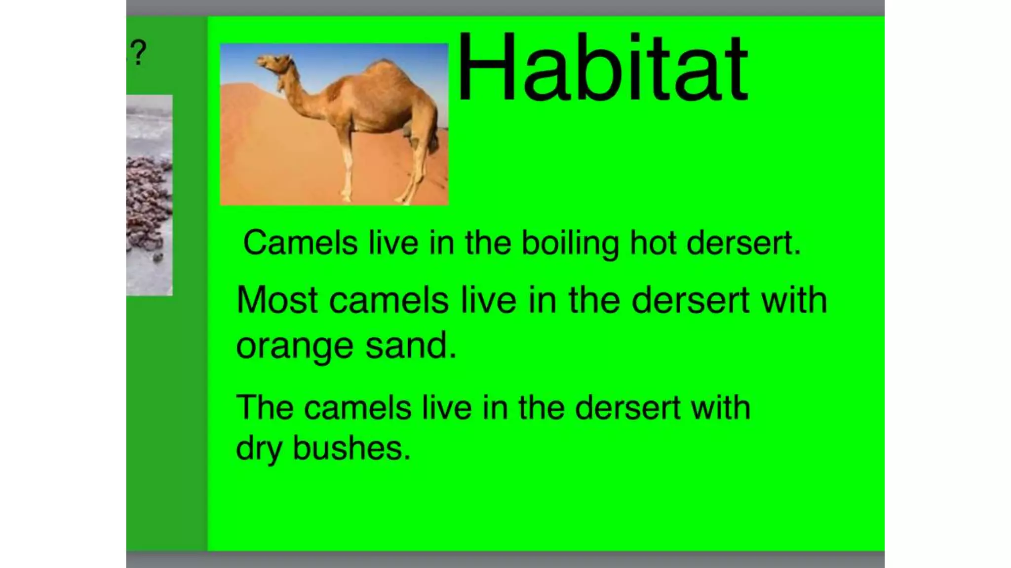 Camel book HL | PPT