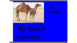 Camel book HL | PPTX