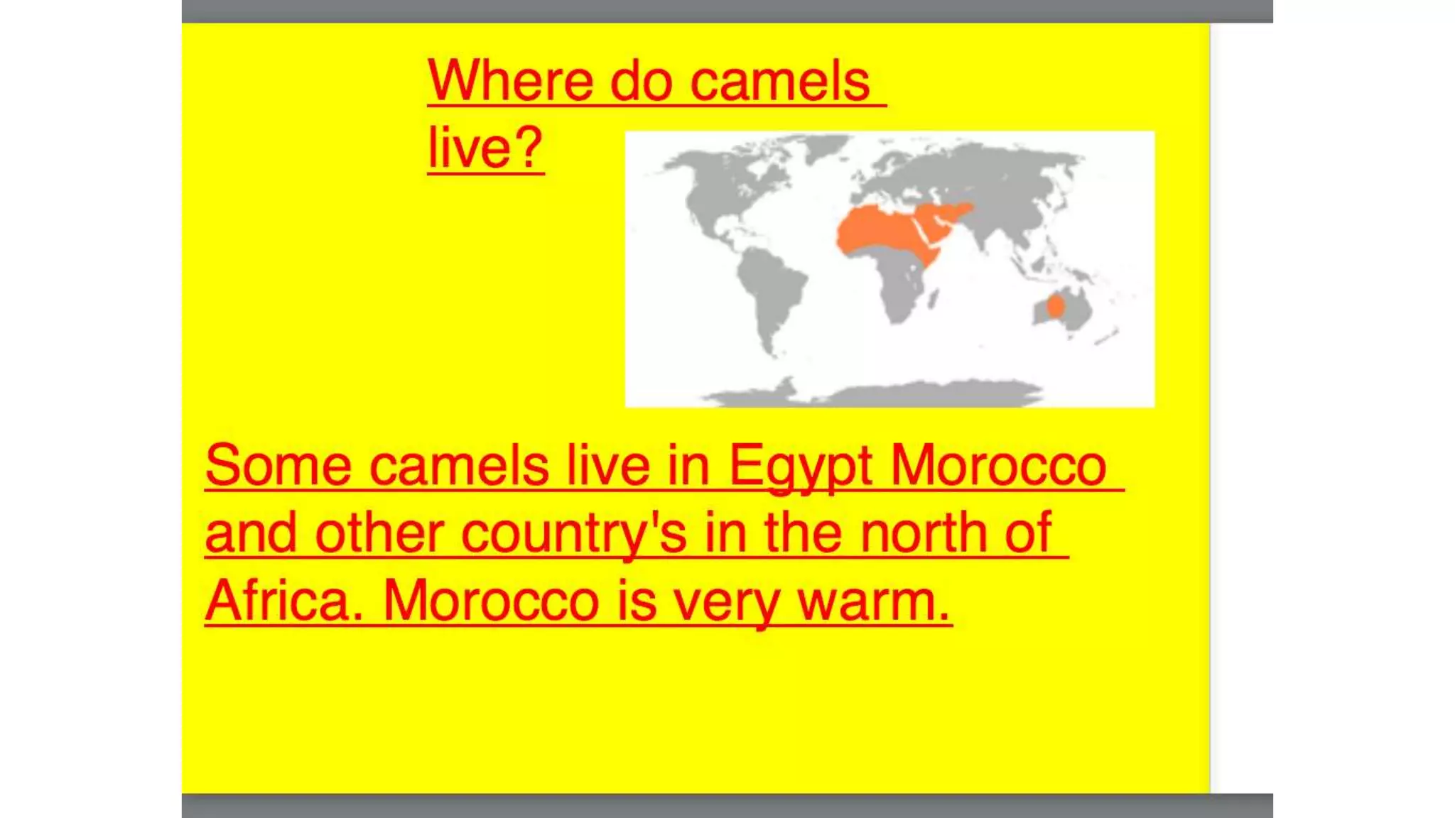 Camel book TM | PPT