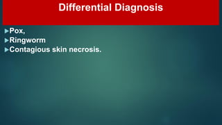 Camel diseases 1- Skin Affections (1- Mange) Proff Dr Hamed Attia.pdf