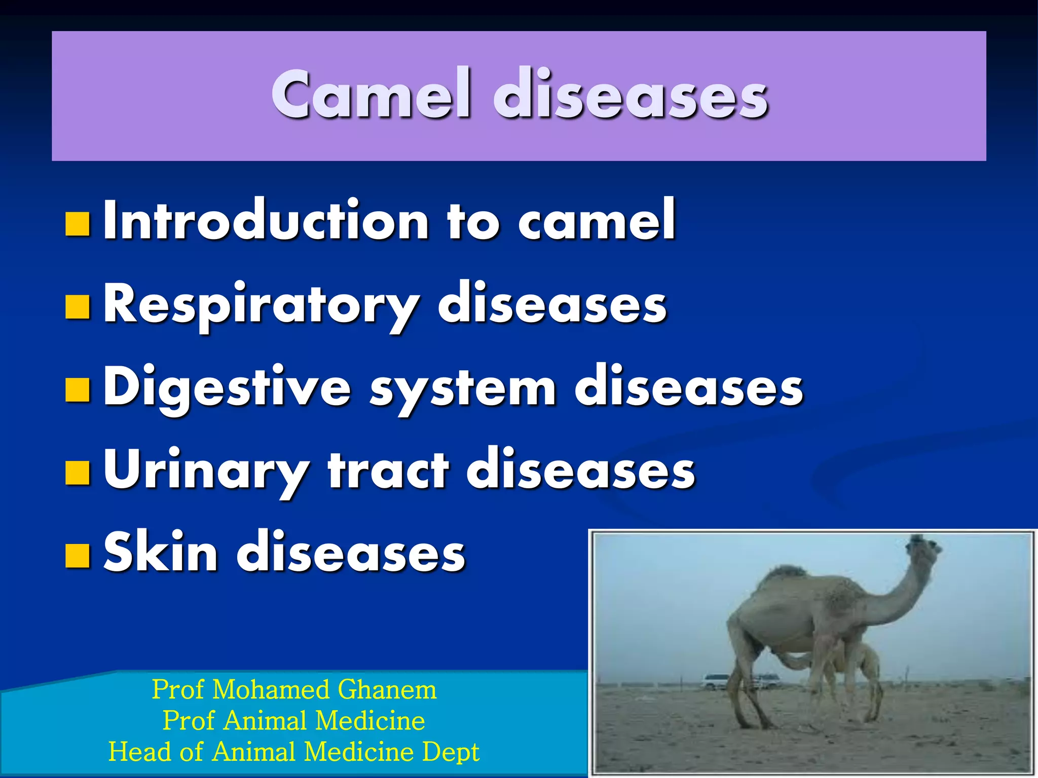 Camel diseases 2016 | PDF