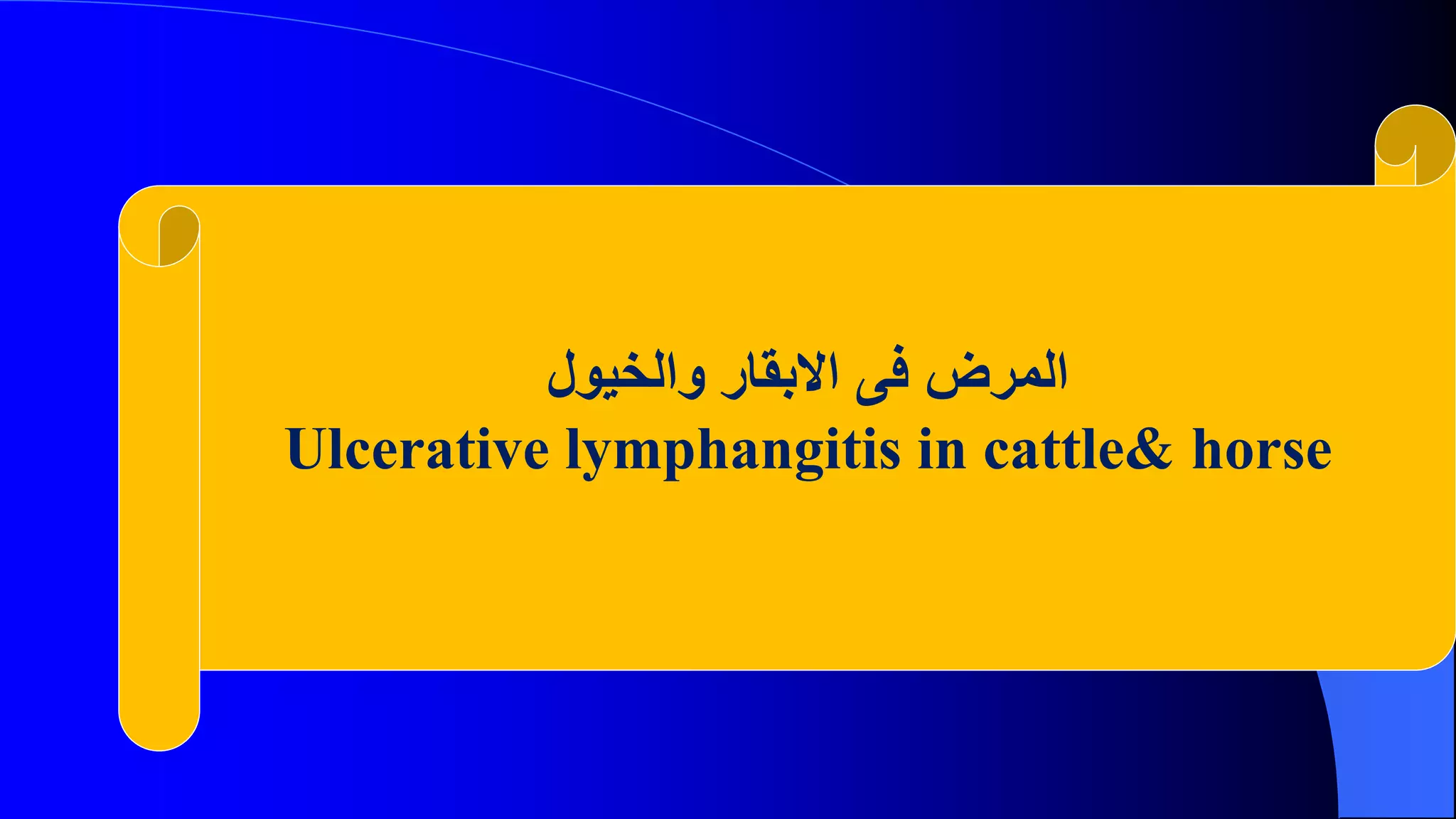 Camel diseases 4- Pseudotuberclosis in camel & sheep Prof Dr Hamed Attia(1)(1).pdf