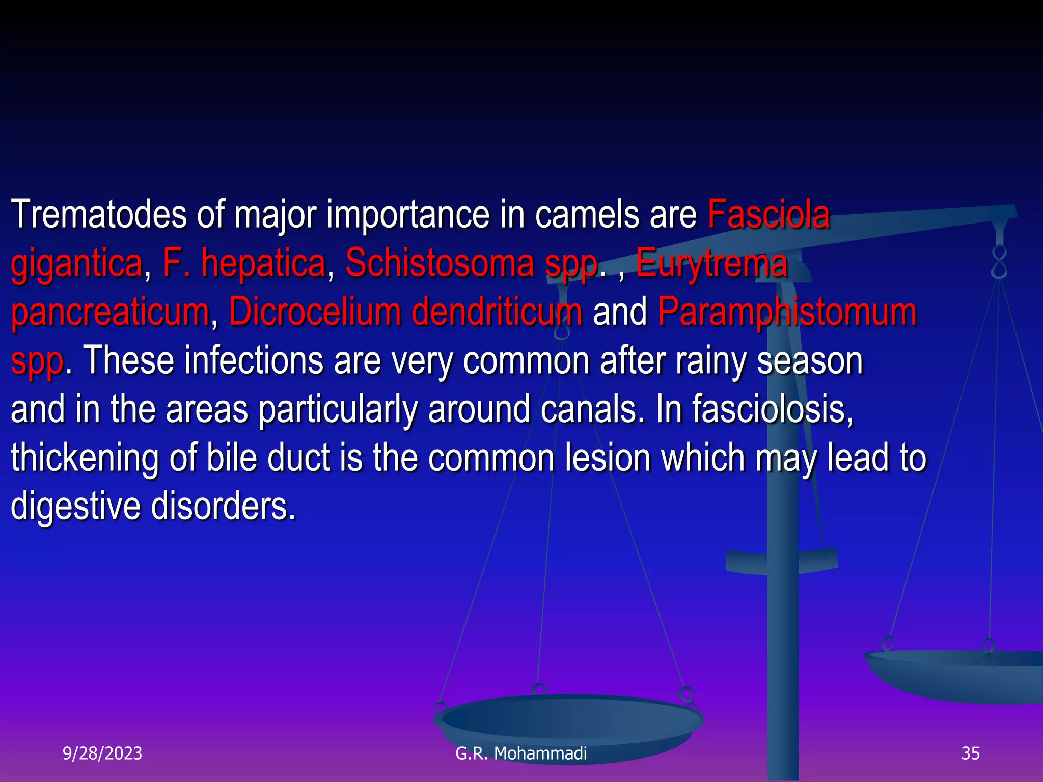 Camel disease VI.ppt