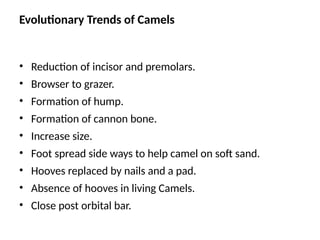 Camel_Evo.pptx .which is the most evolutary | PPTX