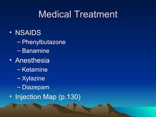 Camelid Medicine And Nursing | PPT