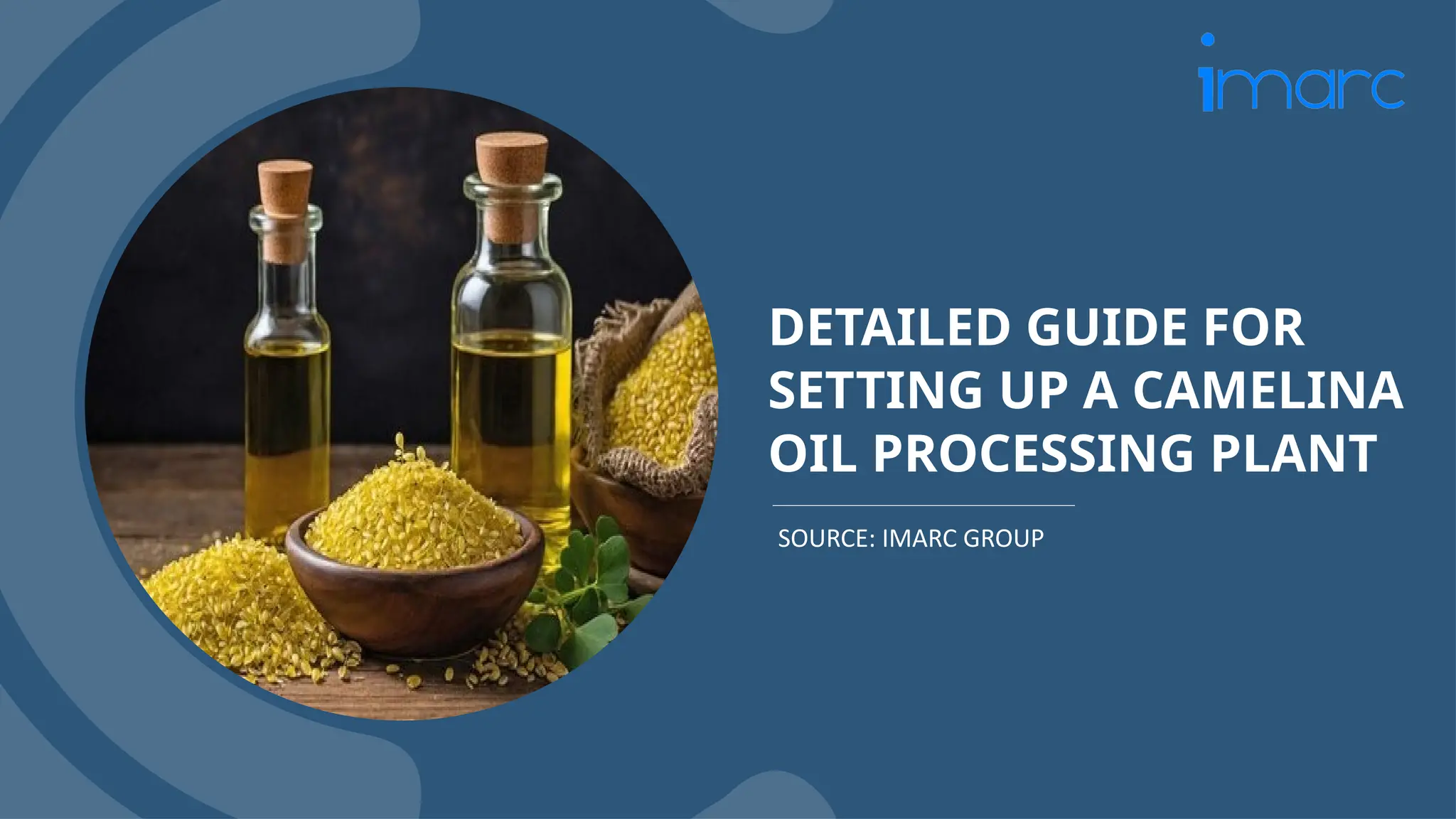 Camelina Oil Processing Plant Project Report.pptx