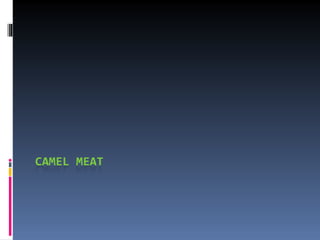 Camel meat | PDF