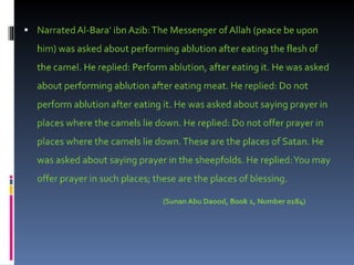 Camel meat | PDF