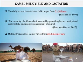Camel milk | PPTX