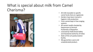 Camel milk and autism by camel charisma | PPT