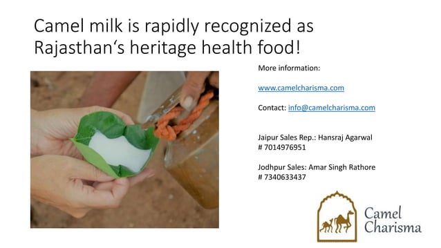 Camel milk and autism by camel charisma | PPT