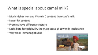 Camel milk and autism by camel charisma | PPT